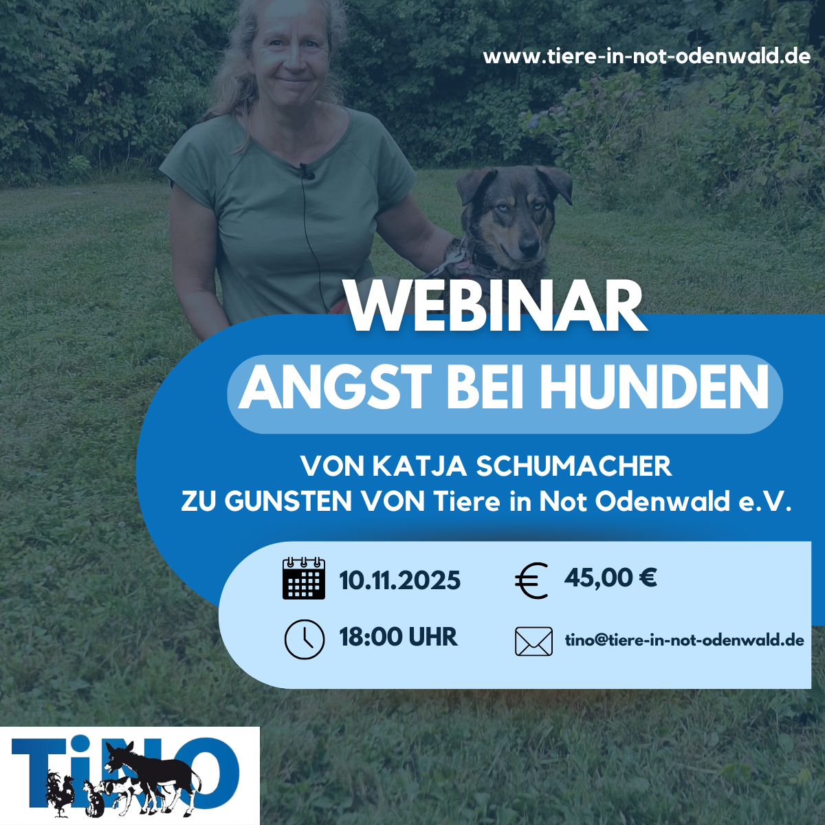 Webinar - Angst bei Hunden - von Katja Schumacher – Tiere in Not ...